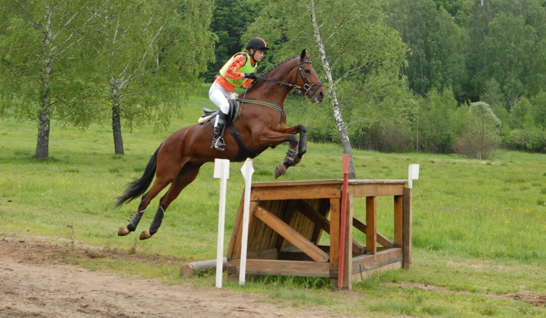 Eventing Levels Explained - The Equestrian Triathlon - Helpful Horse Hints