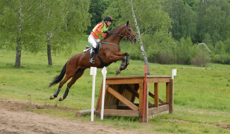 Eventing Levels Explained - The Equestrian Triathlon - Helpful Horse Hints
