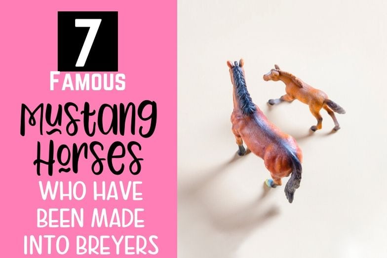 7 Famous Mustang Horses Who Have Been Immortalized by Breyer - Helpful ...