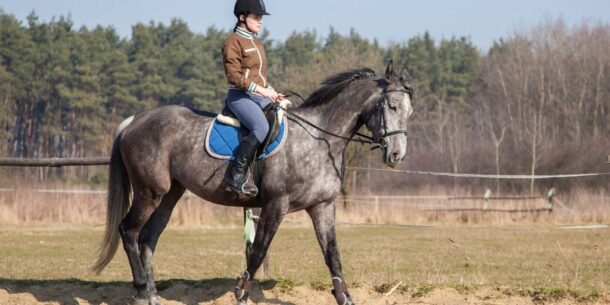 Guide to Dressage Riding: Simple Explanations for a Complex Sport ...