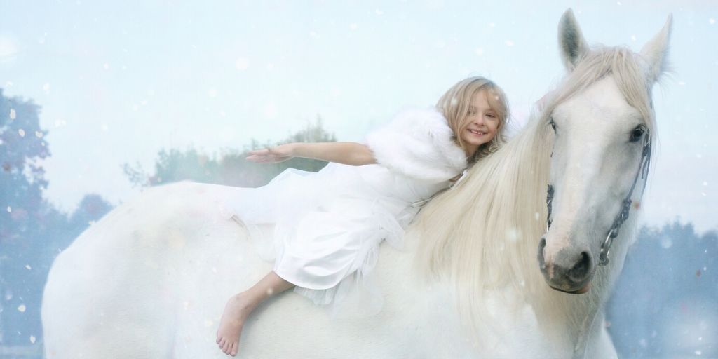 Shire Horse: Breed Profile for the World's Largest Horse - Helpful ...