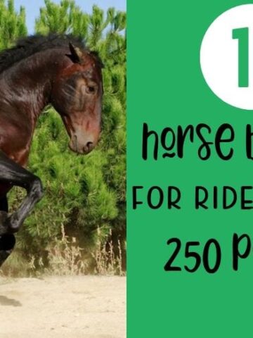 9 Facts About Horse Vision with Diagram & Examples - Helpful Horse Hints