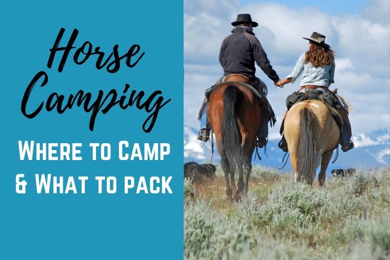 Horse Camping - Where to Camp & What to Pack - Helpful Horse Hints