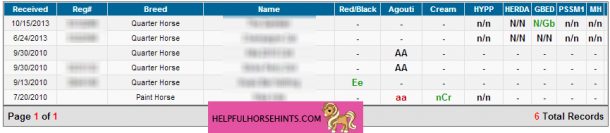 Horse DNA Testing: Guide to Labs and Available Tests - Helpful Horse Hints