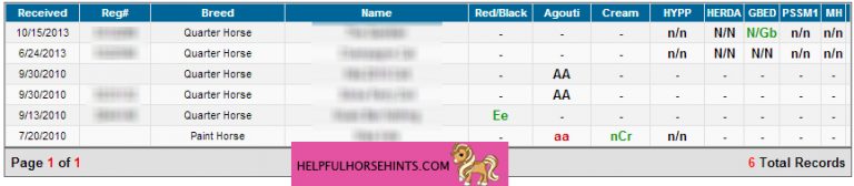 Horse DNA Testing: Guide to Labs and Available Tests - Helpful Horse Hints