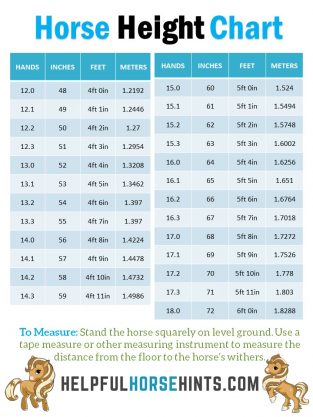 Measuring Horse Height in Hands - with Chart - Helpful Horse Hints