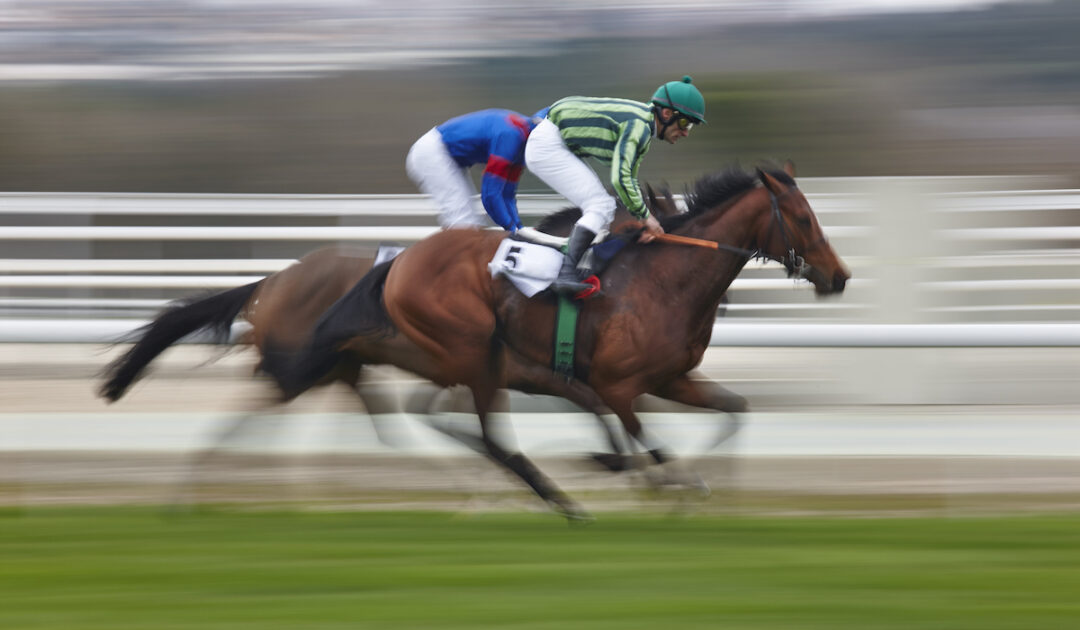 "Horse Wins Race Without Jockey!" How (And How Often) Does This Happen ...