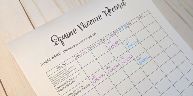 Complete Guide to Horse Vaccines & FREE Vaccination Record - Helpful ...