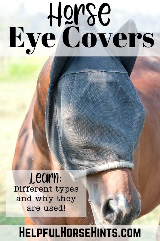 Types of Horse Eye and Face Covers and Why They Are Needed | Helpful ...