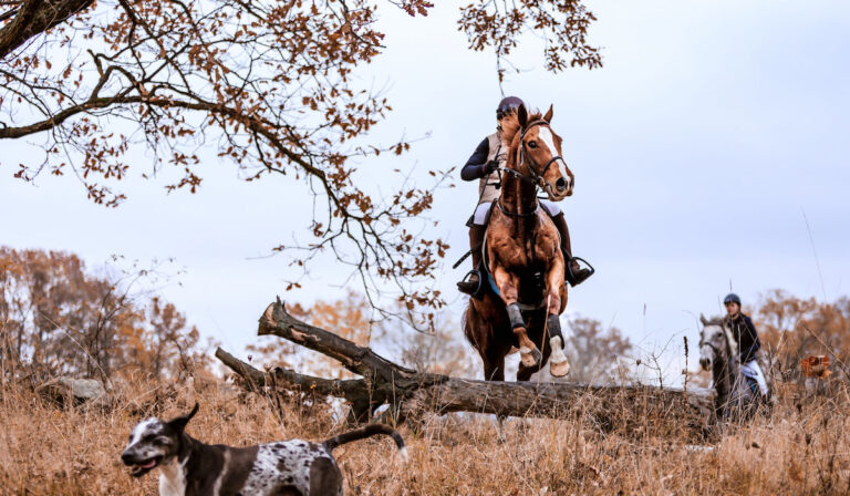 13 Types of Horse Events - Helpful Horse Hints