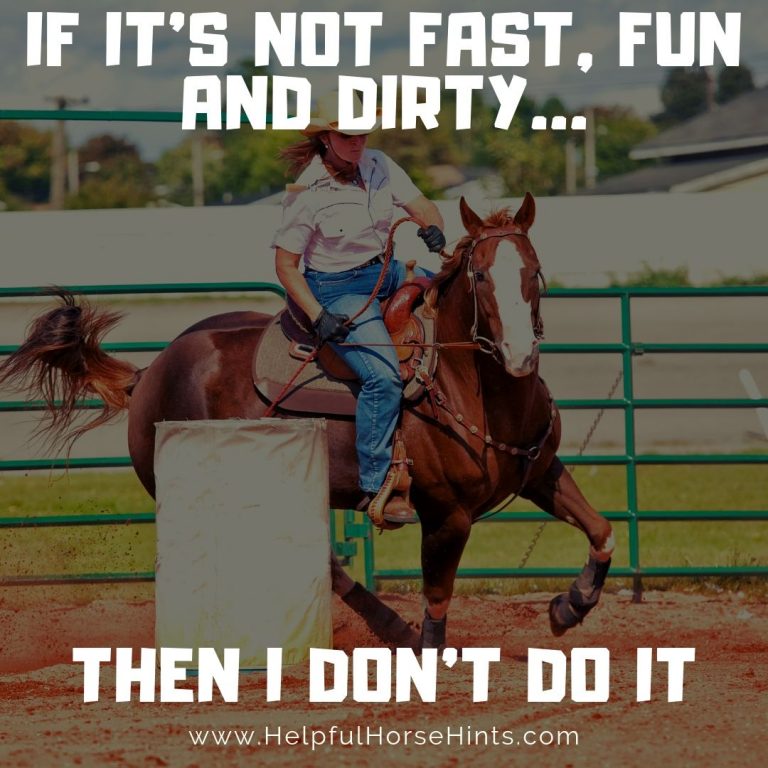 17 Remarkable Barrel Racing Quotes with Shareable Pictures - Helpful ...