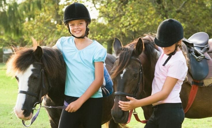 15 Best Riding Horses for Beginners (with Photos) - Helpful Horse Hints