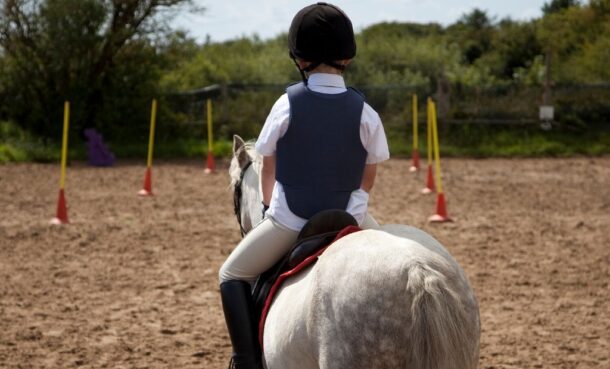 15 Best Riding Horses for Beginners (with Photos) - Helpful Horse Hints