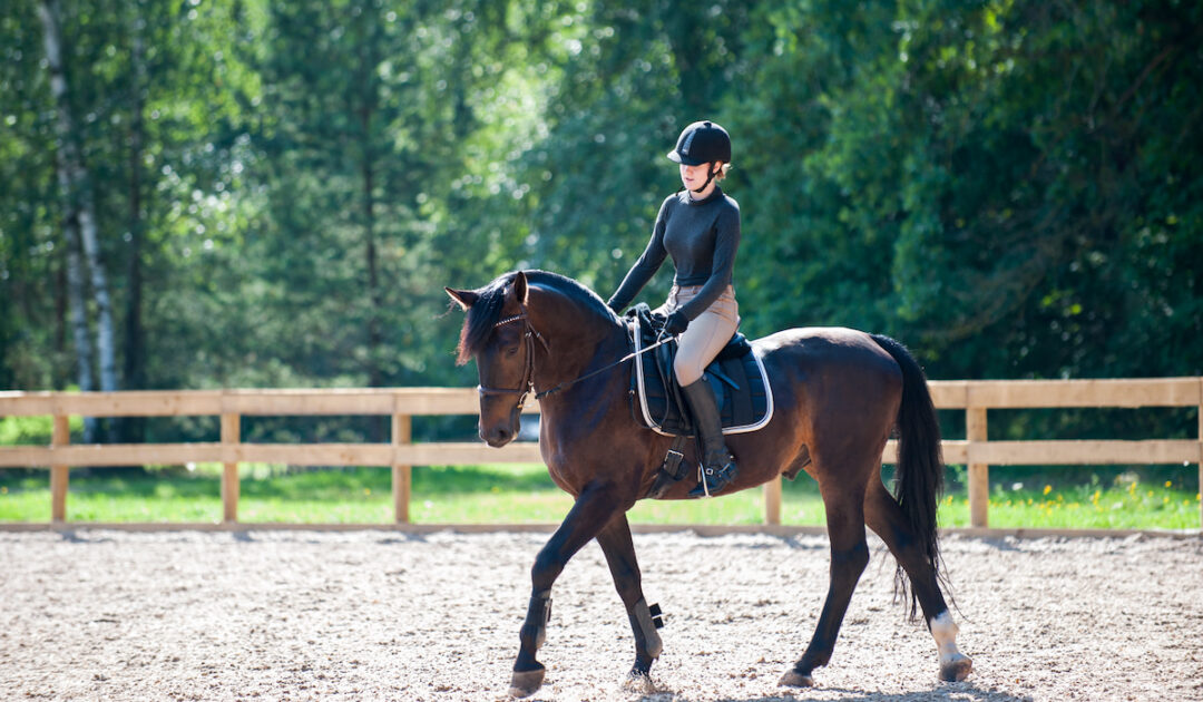19 Beginner Horse Riding Exercises + Lesson Plans - Helpful Horse Hints