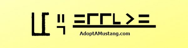 Decoding A Mustang Horse Brand - Helpful Horse Hints