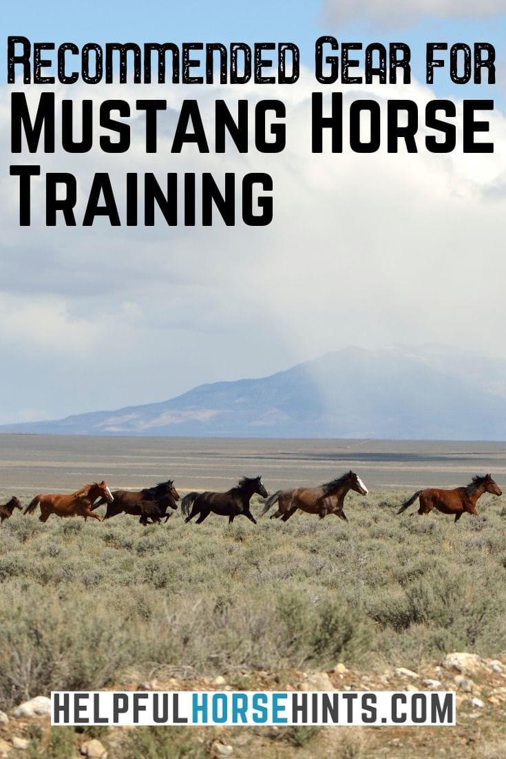 Wild Mustang & Burro Training Equipment - Helpful Horse Hints