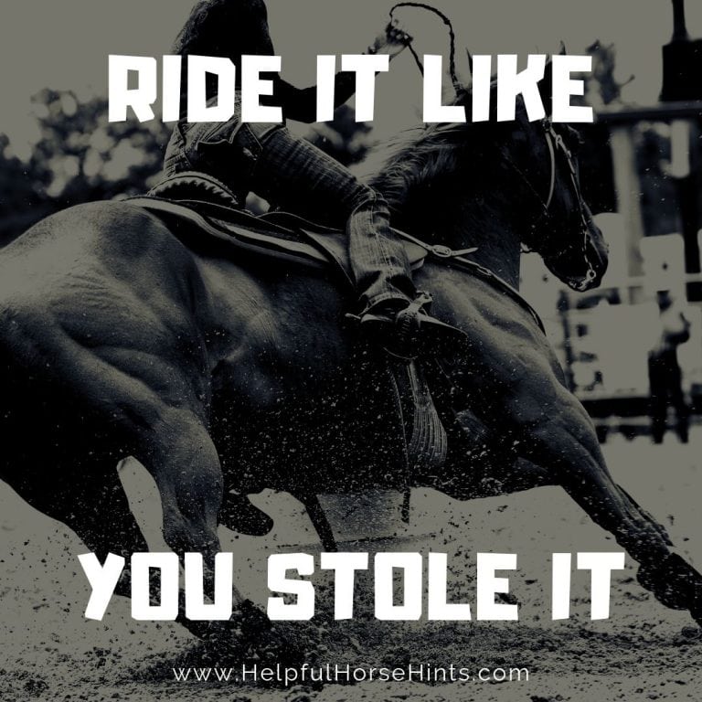 17 Remarkable Barrel Racing Quotes with Shareable Pictures - Helpful ...