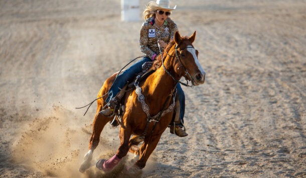 Best Barrel Racing Horse Breeds - Helpful Horse Hints