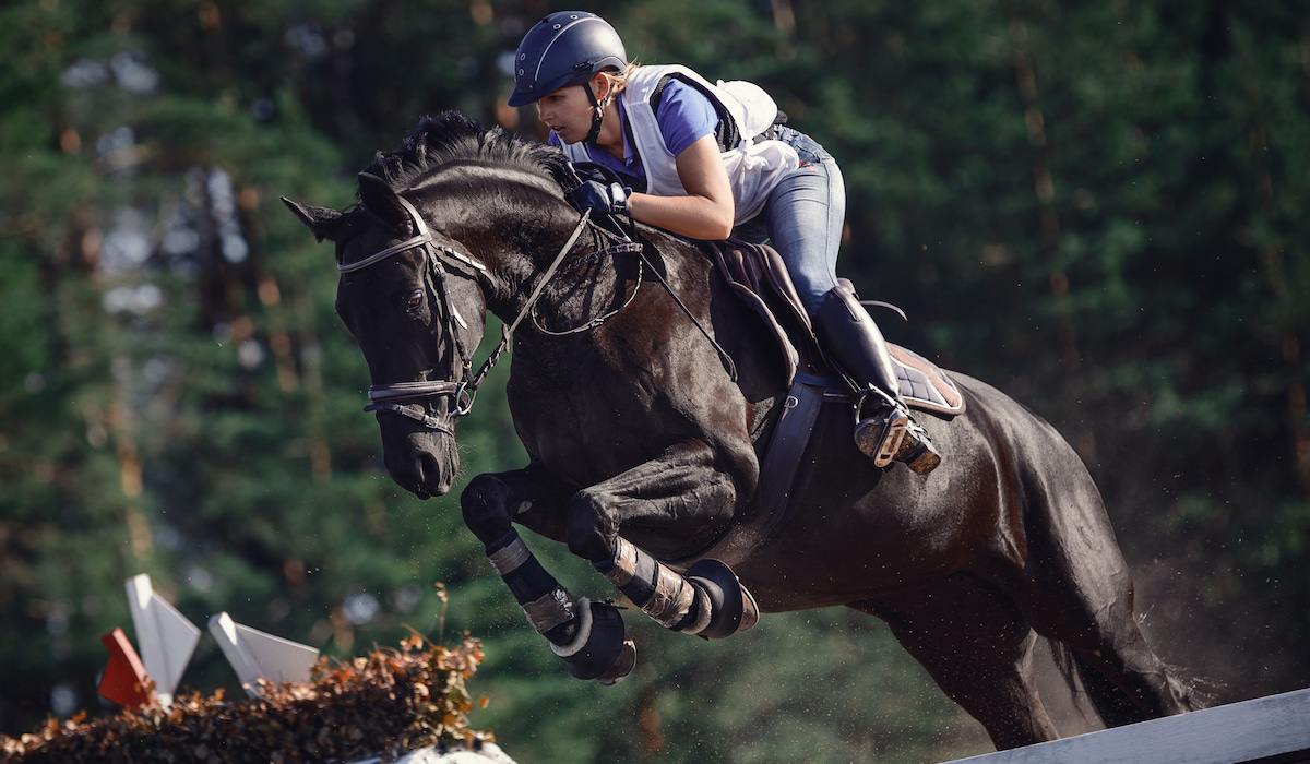 9 Famous Showjumping Horses - Helpful Horse Hints