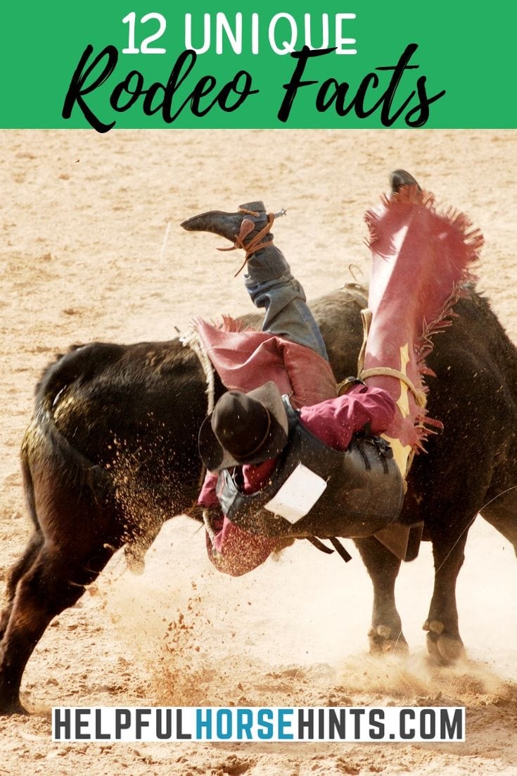 12 Unique Rodeo Facts - Helpful Horse Hints