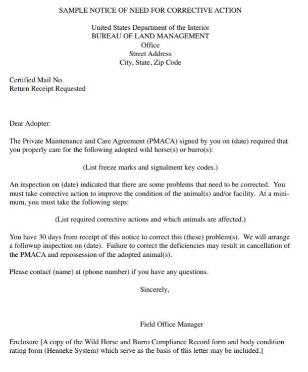 BLM Compliance Checks for Wild Horses and Burros - Helpful Horse Hints