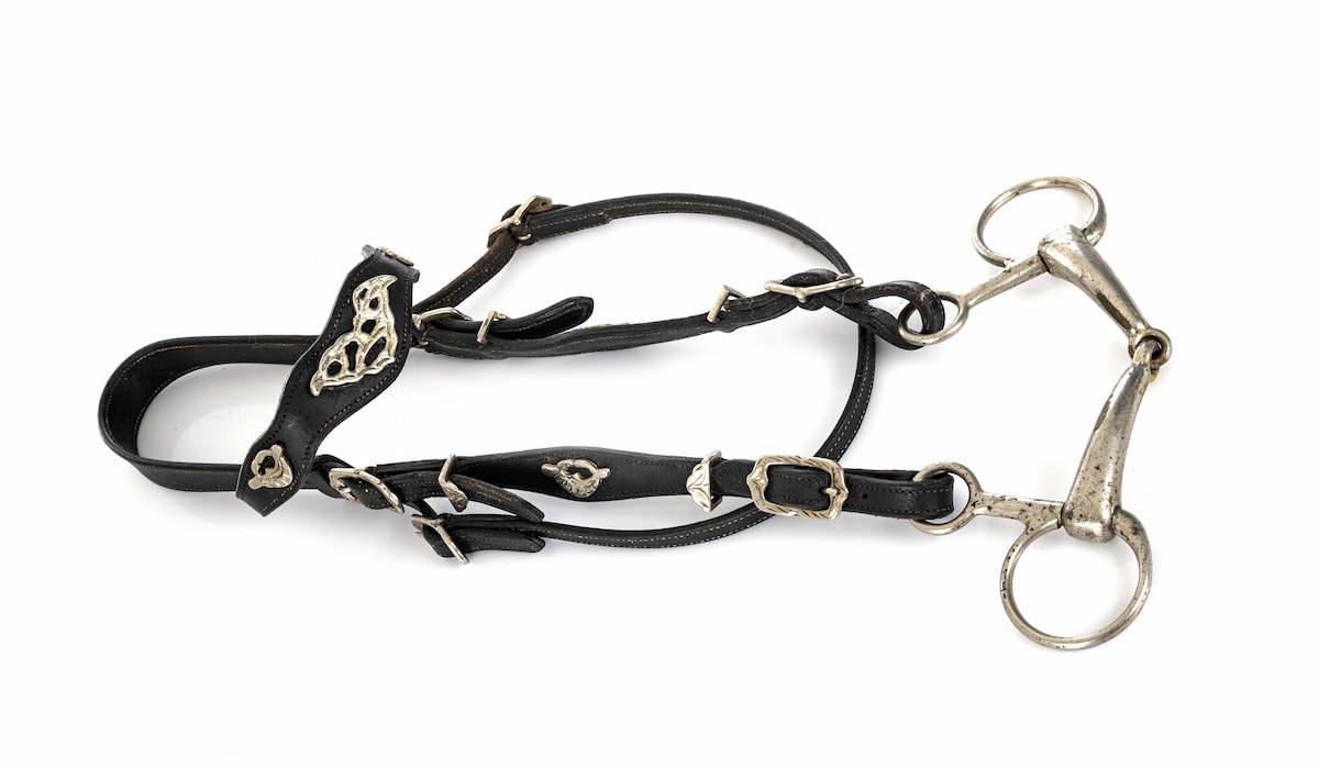 5 Compelling Reasons to Use an Eggbutt Snaffle - Helpful Horse Hints