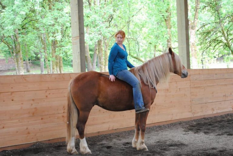 Horse Color Guide: Mustang Horses in Almost Every Color (with Photos ...