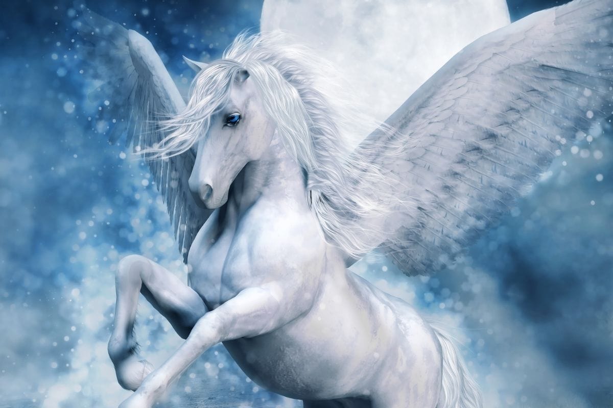 81 Pegasus Names Helpful Horse Hints