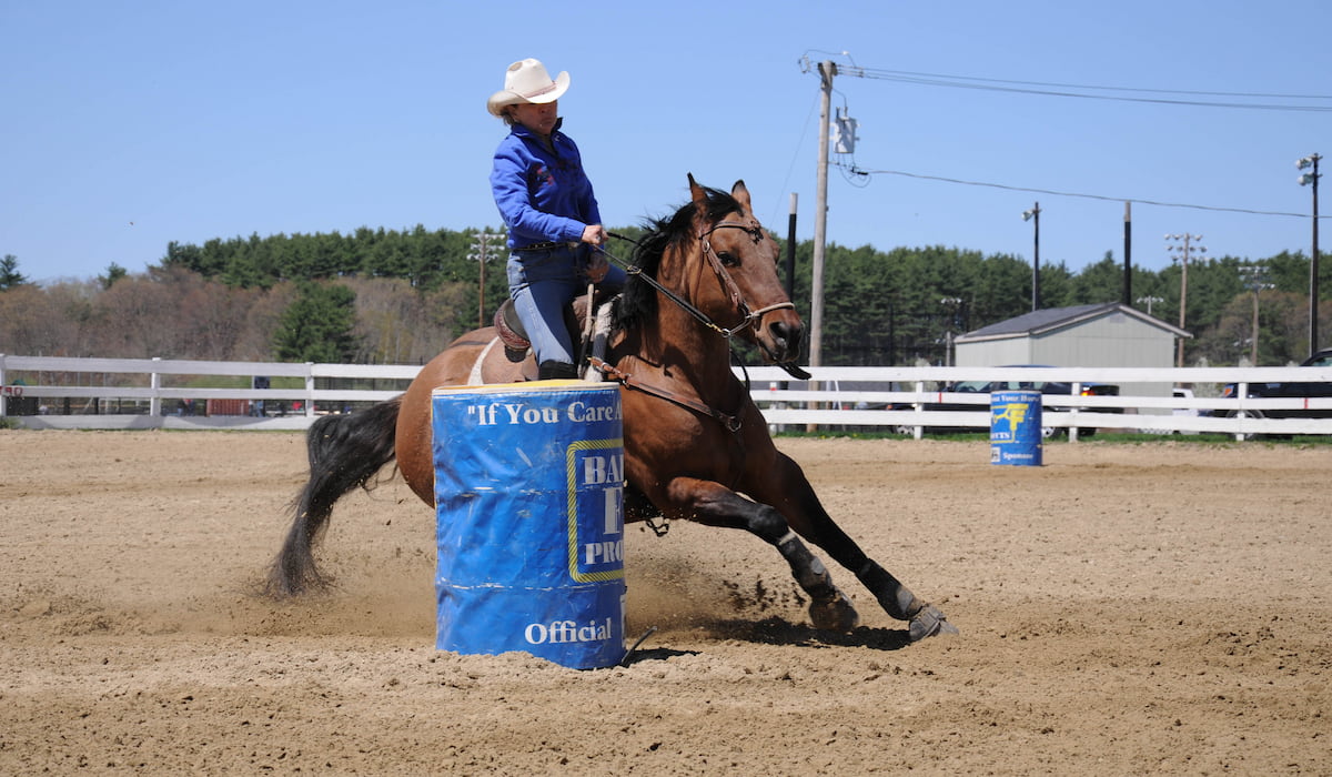 25+ Horseback Riding Styles to Try With Your Horse - Helpful Horse Hints