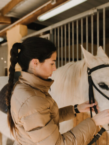 11 Stunning French Horse Breeds - Helpful Horse Hints
