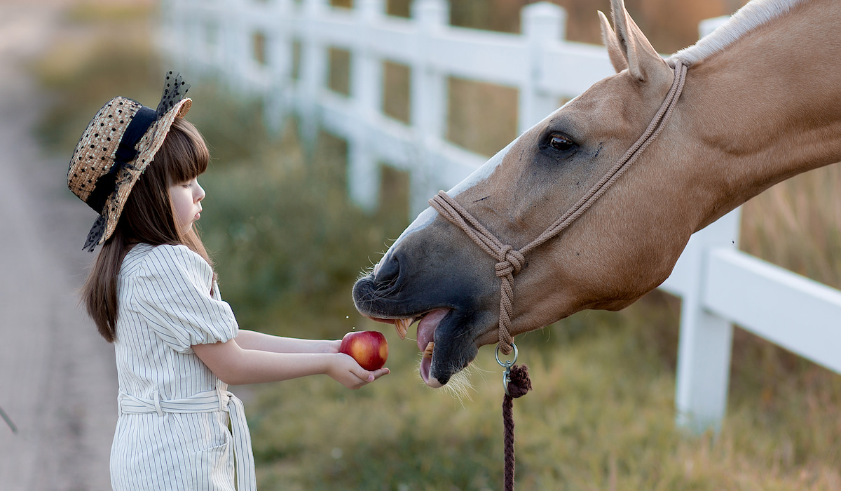 Feeding Horse Apple